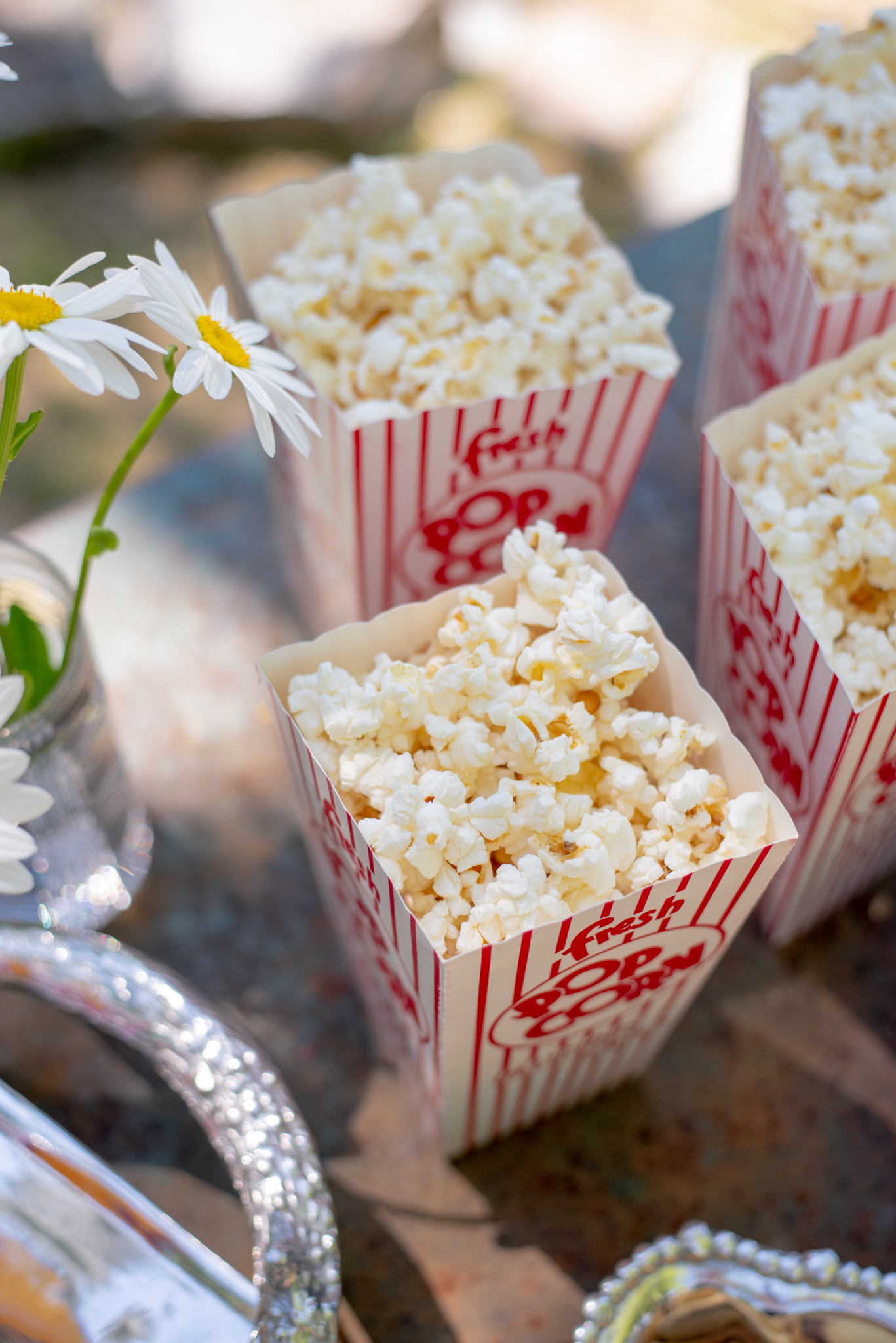 Setting Up an Outdoor Movie Night - The Every Hostess