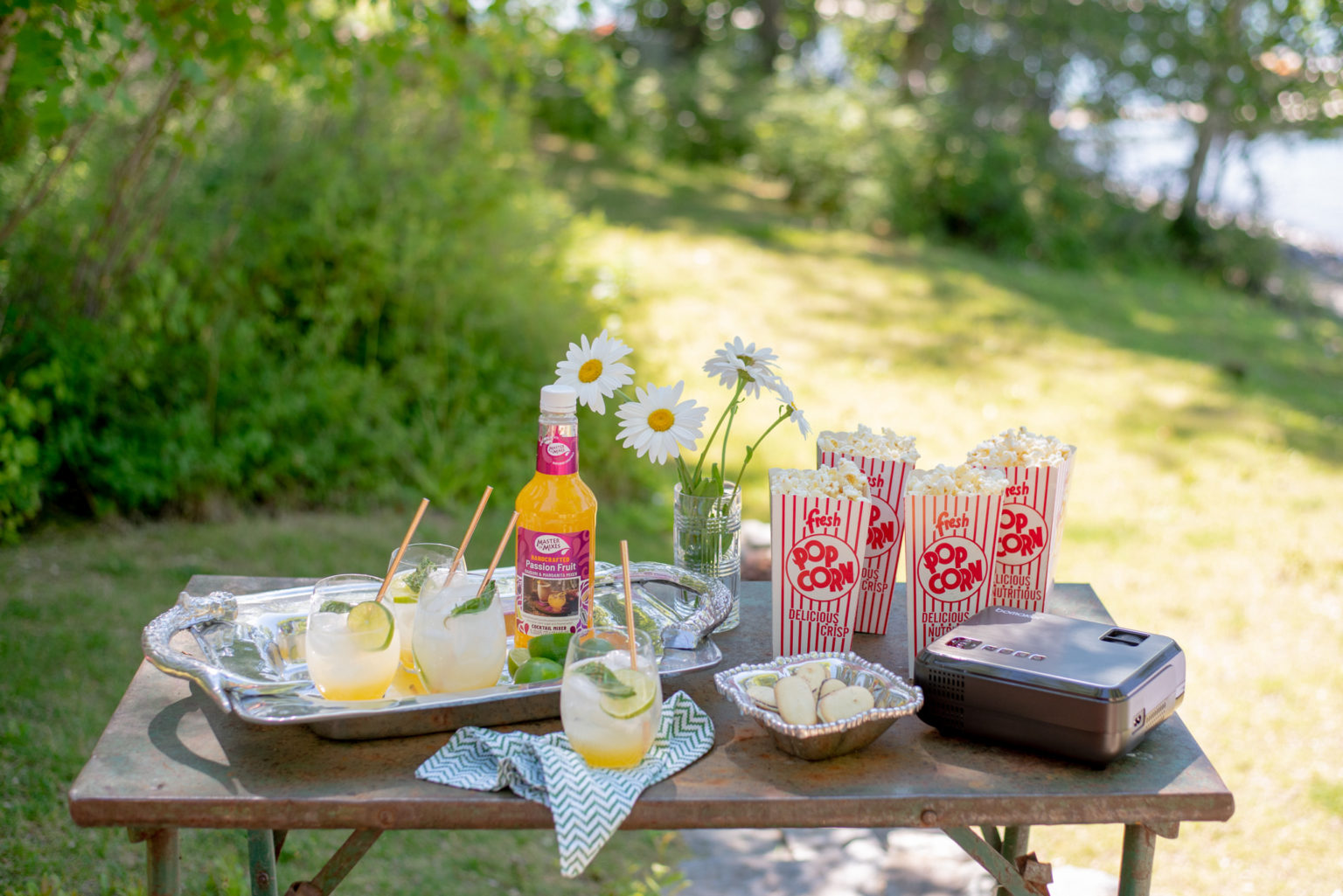 Setting Up an Outdoor Movie Night - The Every Hostess
